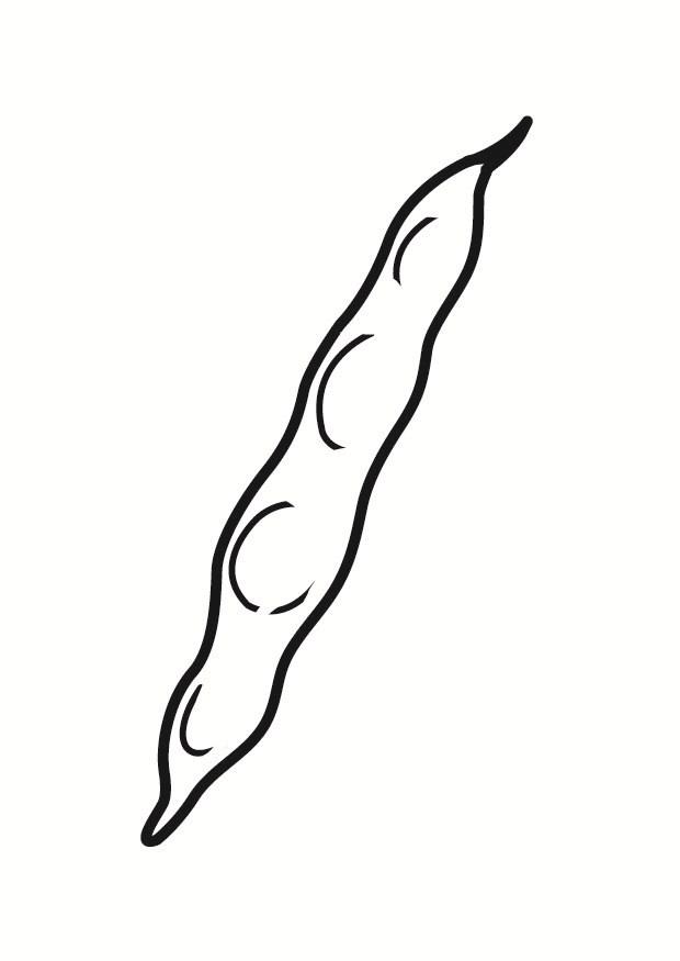Haricot Boon Coloriage Bohne Kleurplaat Para Colorear Bean French ...