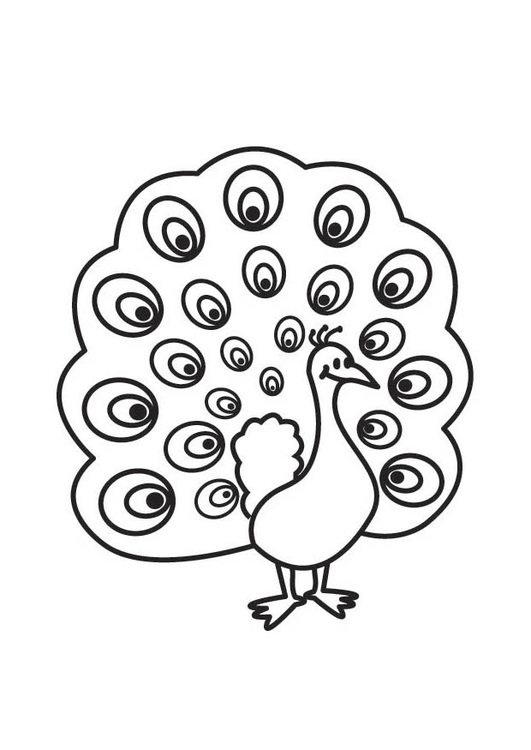 Coloriage Paon - Gratuit à Imprimer - Img 17594