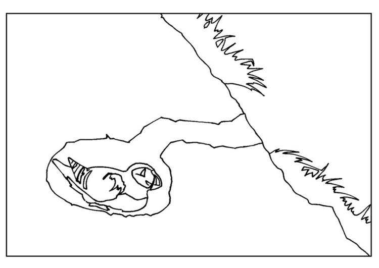Coloriage perroquet dans son trou - Coloriages Gratuits à Imprimer ...