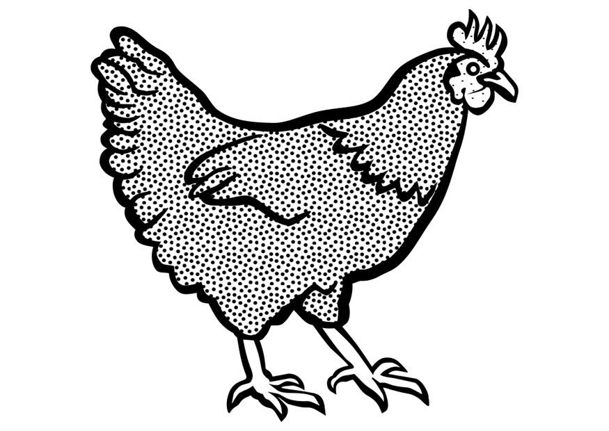 Coloriage de poule avec un motif à pois et un bec bien défini