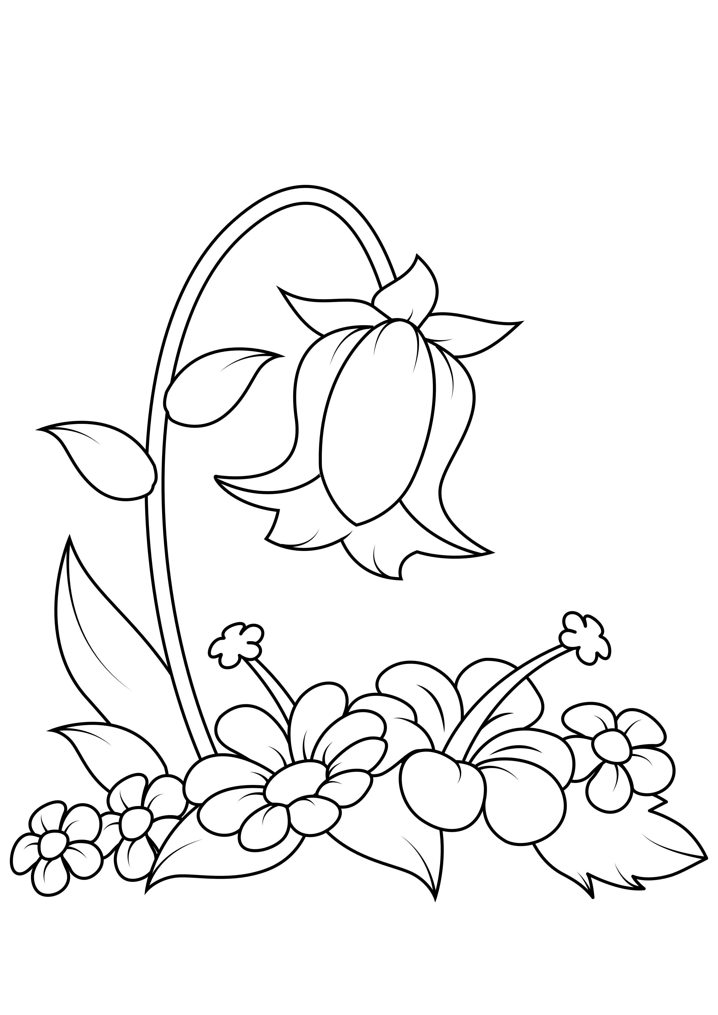 Coloriage fleur - Gratuit à Imprimer - Img 31839