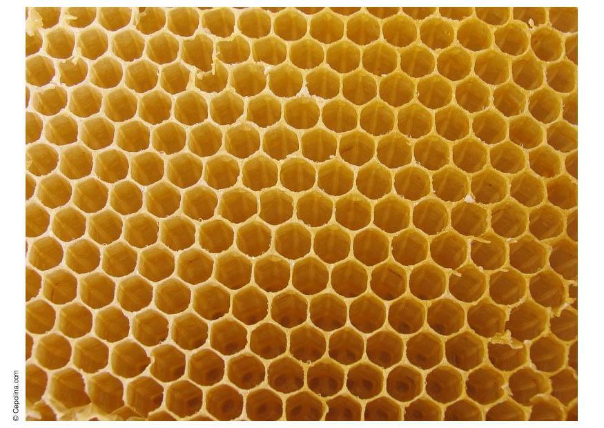 Alvéole Ruche Dessin , 759 illustrations et cliparts de Abeille Alvéole ...